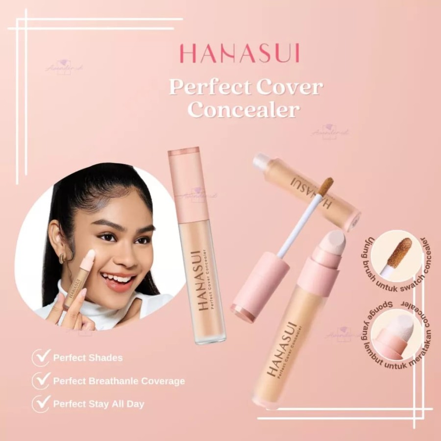 HANASUI Perfect Cover Concealer 4.5g